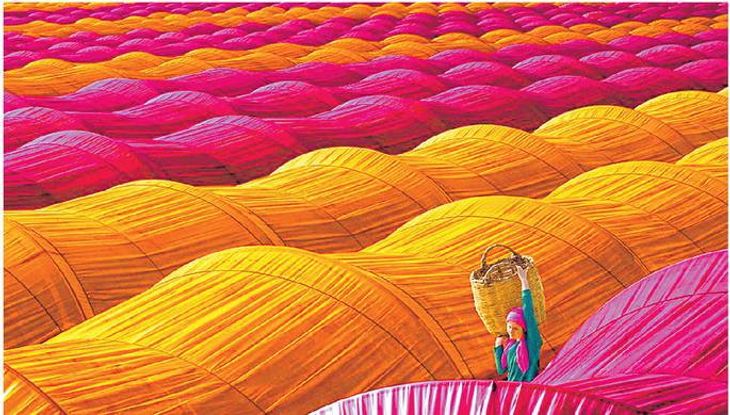 Beri News - haryana news photography strawberry cultivation takes place ...