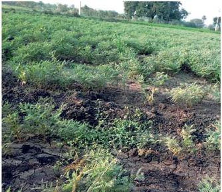 Meghnagar News - mp news agral killing delhi road is incomplete for one ...