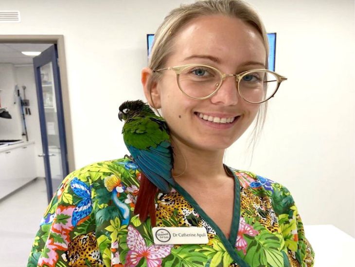 To prevent it from flying, the owner chopped on the parrot, the doctor ...