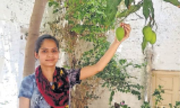 Boi mango kernels in home garden 6 years ago