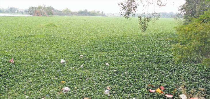 All ponds except Lala Ka Tal and Munni Seth's Talaiya are occupied by ...