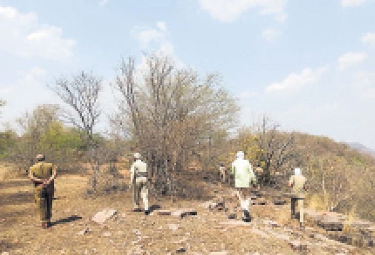 Search operation in Ranra and Chirauli, infiltration of infiltrating mafias