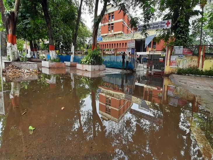 Rain In Patna, Bihar Weather Today News Update; Heavy Rainfall in Many ...