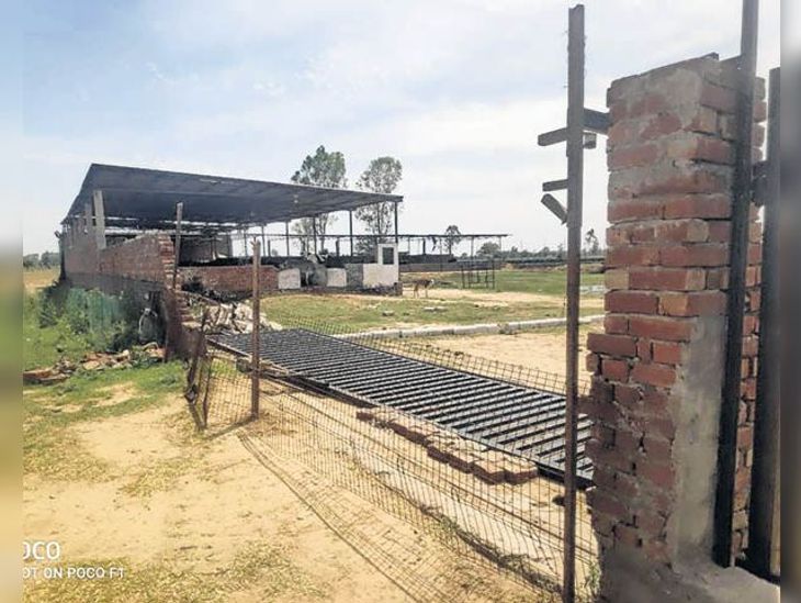 Gaushala's boundary wall fell due to storm, hail, shed sheets