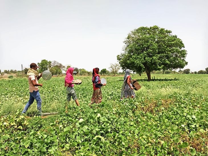 A new party arrived from Nasrullaganj to the village of Timarni, today ...