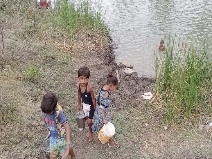 People are drinking the dirty water of the pond in Dhangaon of Mungeli ...