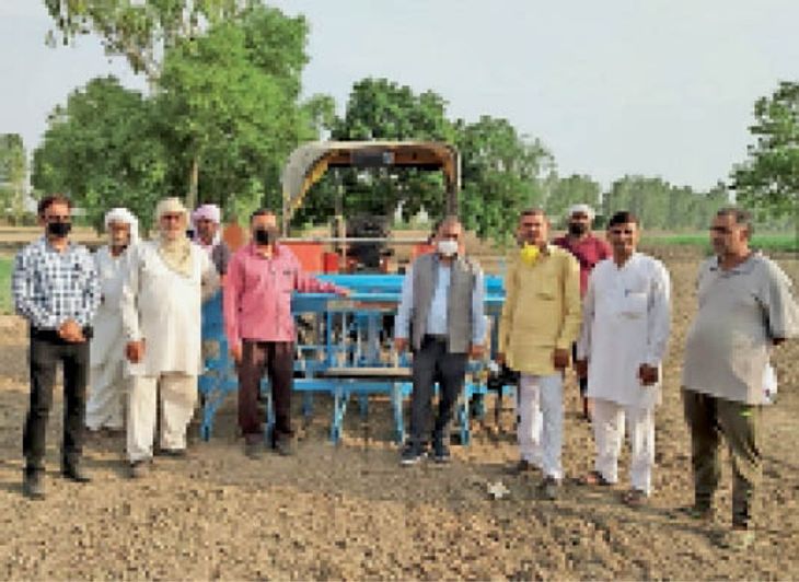 Paddy transplantation will not be short of migrant laborers, DSR ...