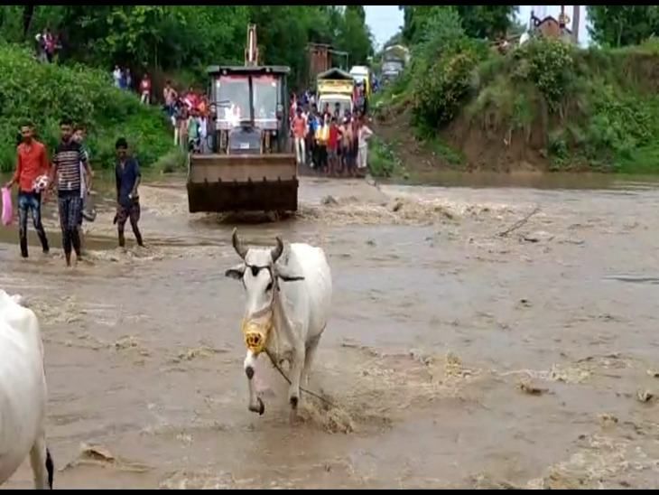 Kali Sindh River/Dewas Rain News Updates; Water Leavel Reached In River ...