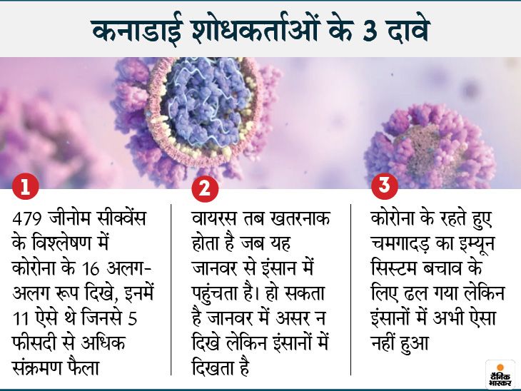COVID-19 origin : University of Calgary research shows SARS-CoV-2 may ...