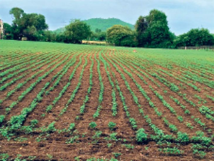 Demand 45 thousand m Ton, 25 thousand divided, 10 thousand tons needed ...