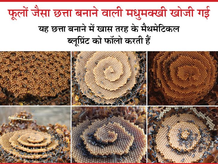 Spectacular images show how the spiral, bullseye and terrace-shaped ...