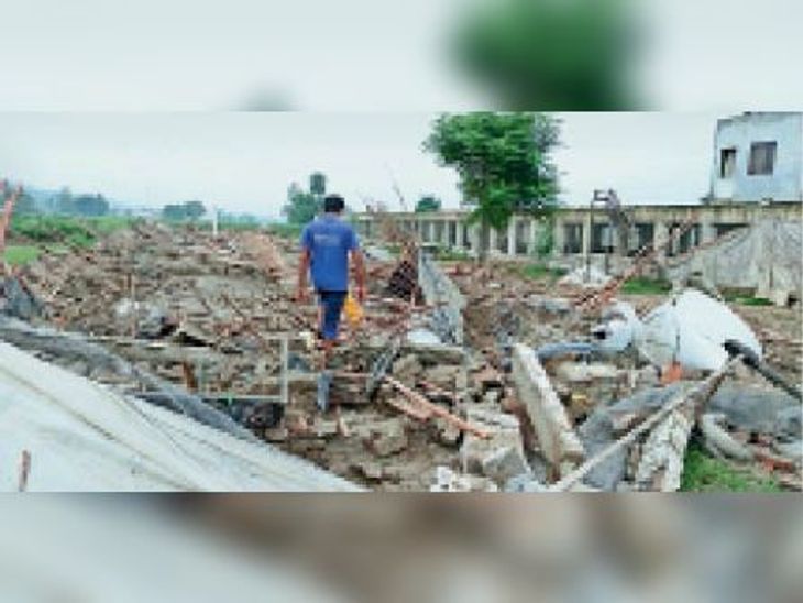 Roof of poultry farm collapsed in heavy rain, four thousand chickens ...