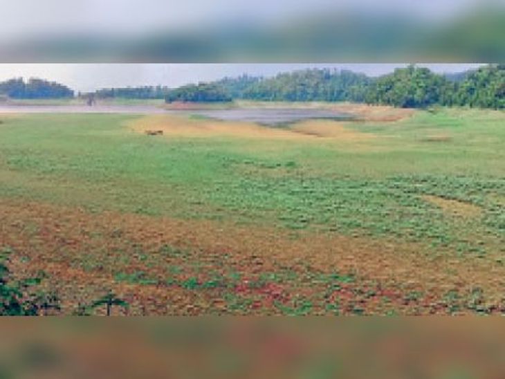 Rough monsoon; 500 million liters of water to be supplied in the dam ...