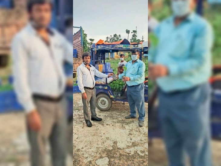 Farmers' pockets to be filled with fruit and vegetable farming in Bihar ...