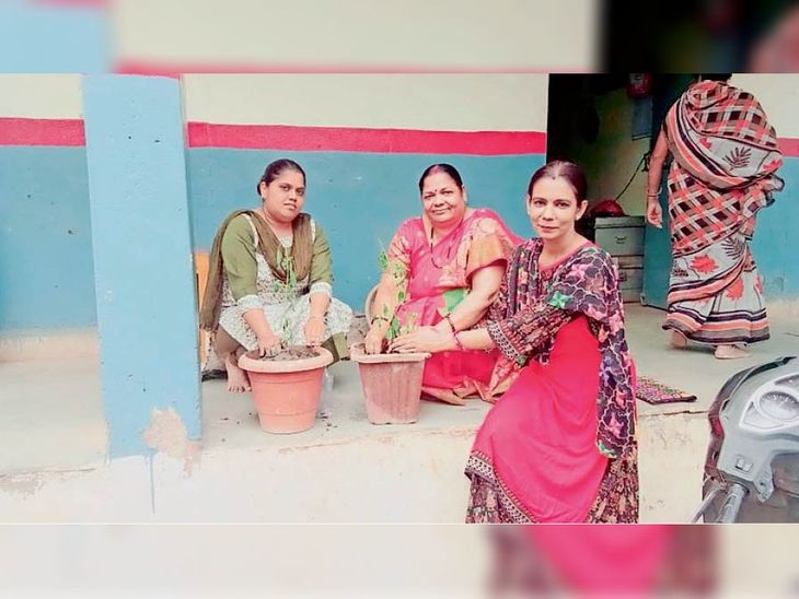 Tulsi leaves help develop the intellect of the children, that's why, in ...