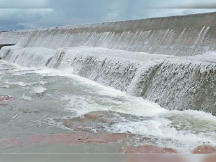 The tourists who came to picnic at Bardha Dam, were disturbed in the ...