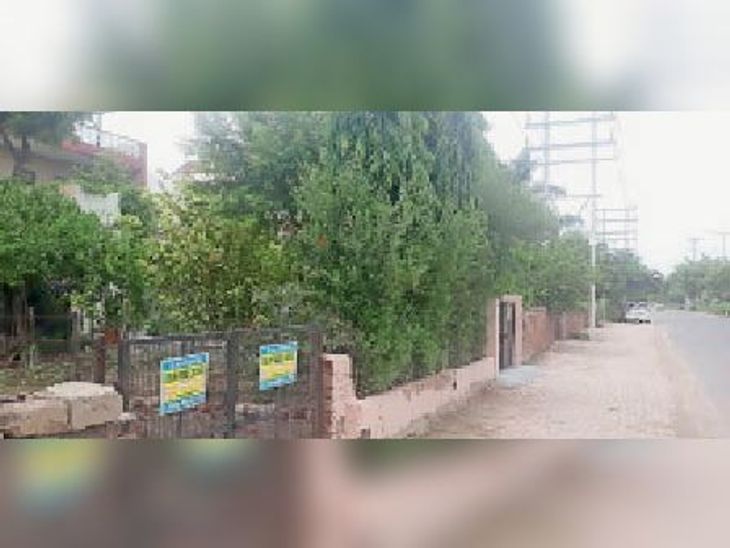 Illegal occupation on Green belt of Sector-6 will be removed, open ...