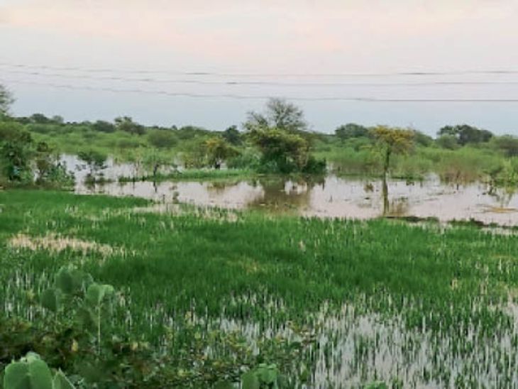 After 26 years, water floods in Shivnath again in most of the villages ...