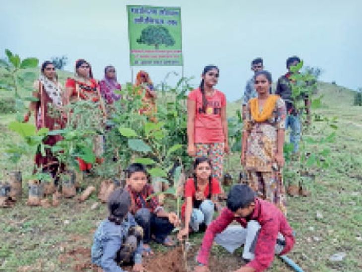 Plantation done in Timurwa, children in Garhi resolved to plant 1000 ...