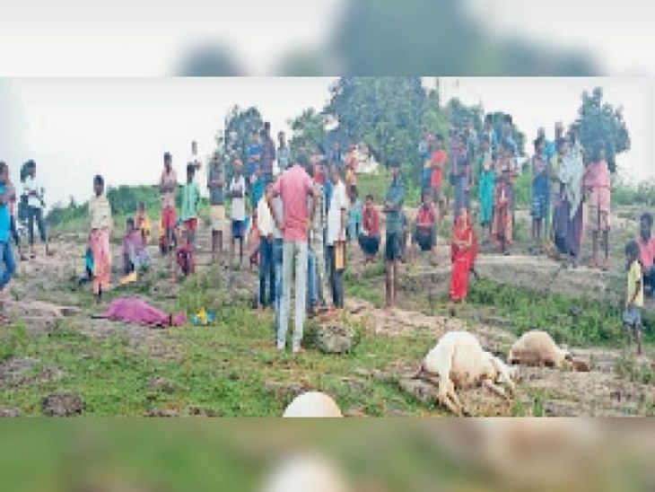 In Bharno, due to thunderstorm with rain, the animals will also be ...