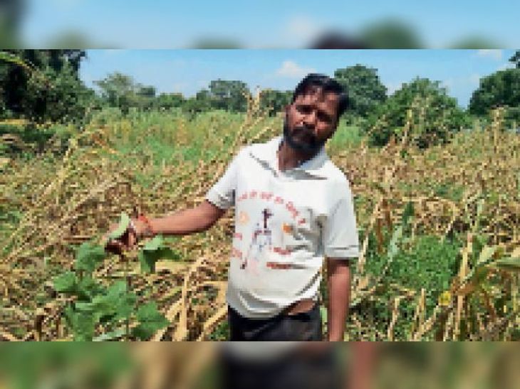 90% of Balam Cucumber crop destroyed, farmer said - this time water ...