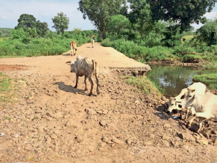 Two years ago, the culvert was cut down due to the strong flow of rain ...