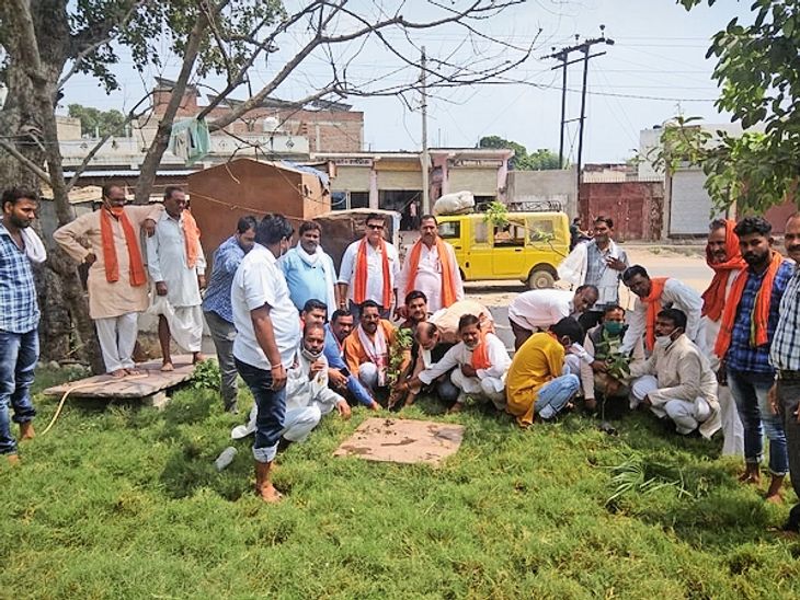 BJP Rural and Mungaoli Board planted saplings | पौधरोपण: भाजपा ग्रामीण ...