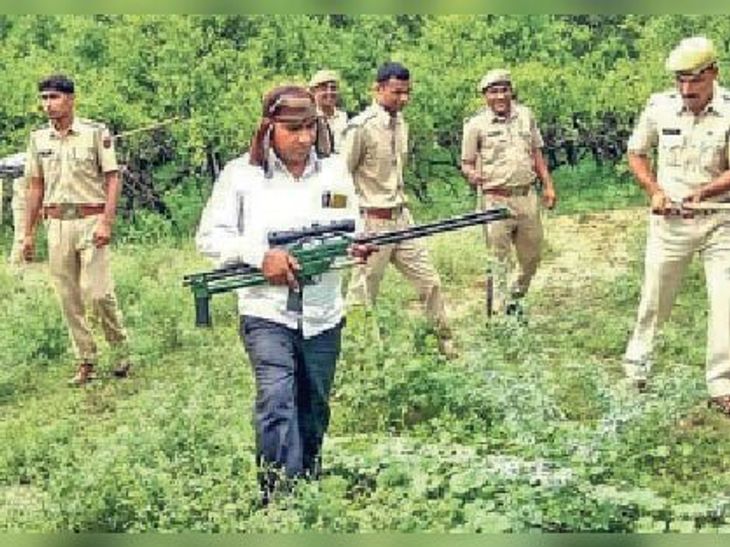 On the information about the arrival of wild animal in many villages of ...