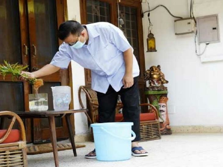 To prevent dengue, the people of Delhi became part of the Muheem ...