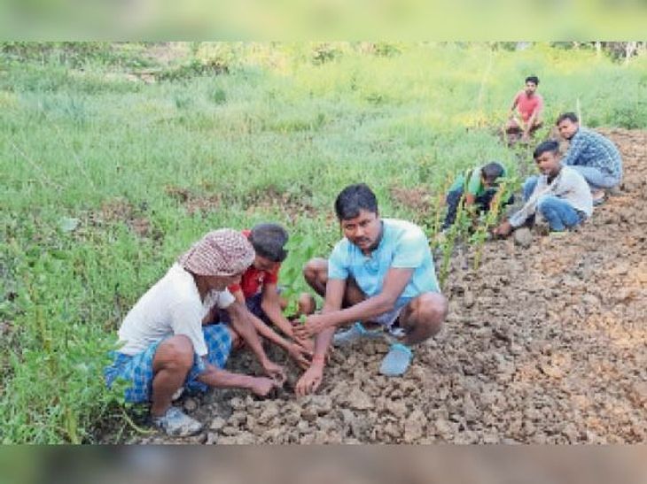 Plantation done under Save Environment Campaign