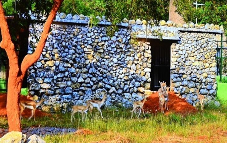 New enclosure for fox, jackal, black buck, coterie, nilgai and hyena