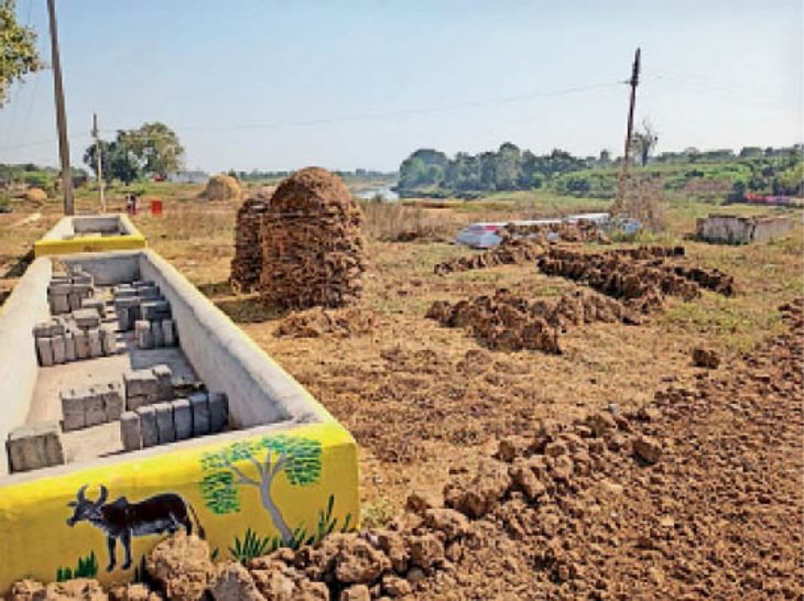 Lakhs in Deori due to negligence in construction Cattle not reaching ...