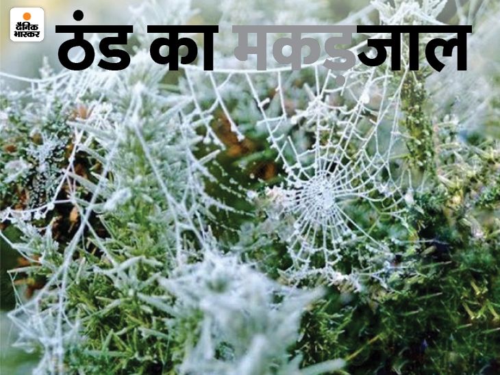 Jaipur Churu (Rajasthan) Cold Wave Alert Today Update | Rajasthan ...