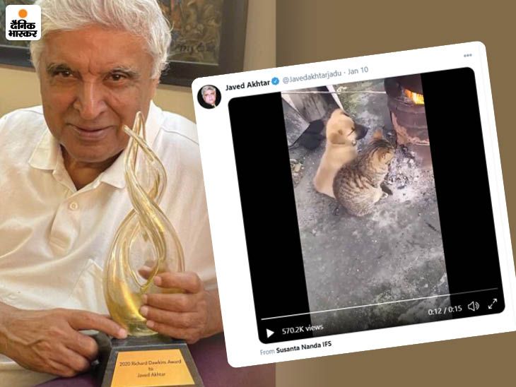 The dog and the cat were roaming together while sitting near the ...