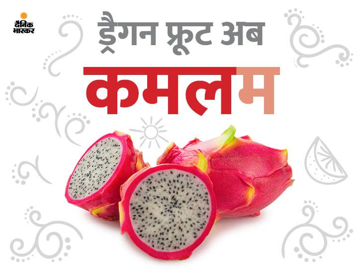 Dragon Fruit Renamed In Gujarat; Kamalam Health Benefits & Nutrition