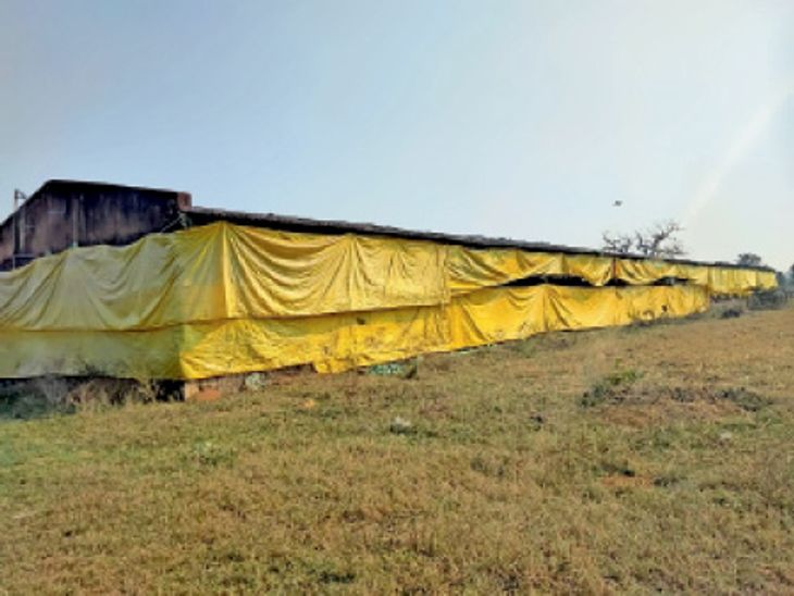 Special supervision of polti farms including Gomarda Sanctuary | बर्ड ...