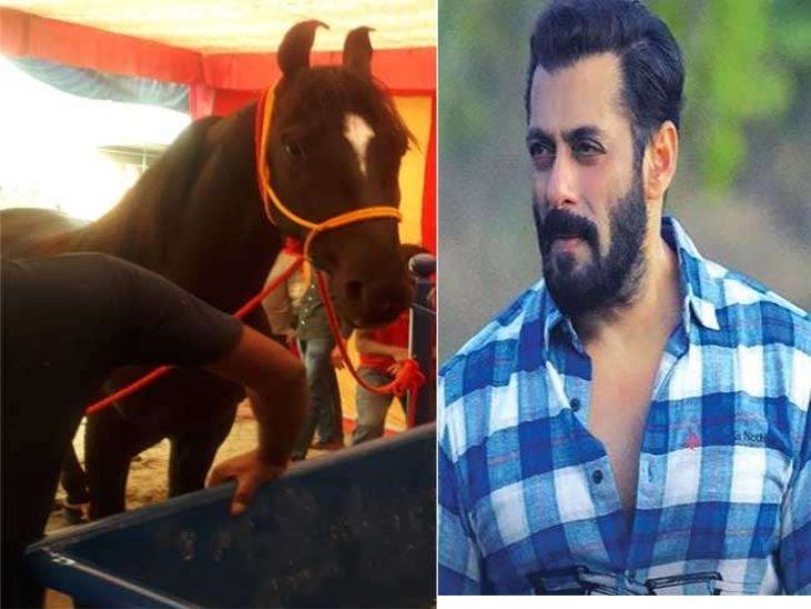 Bollywood Actor Salman Khan's heart came on 'Paramveer', ready to give ...