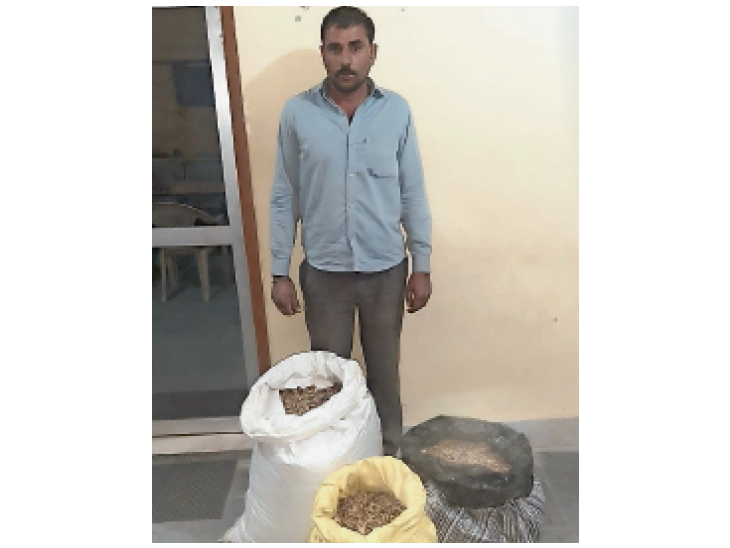 Two people arrested with 33 kg 500 gram doda poppy at two places ...