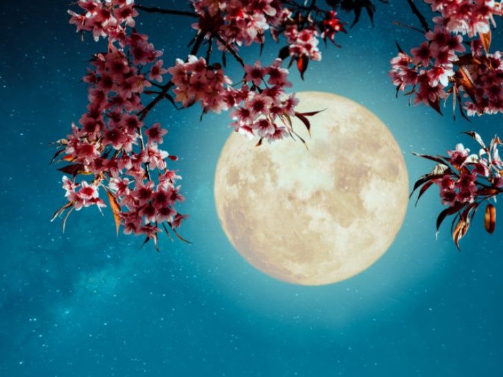 The effect of moon and spring on Phalgun Purnima brings excitement and ...