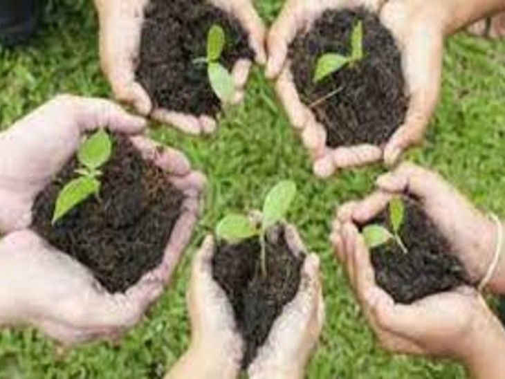 Bihar Rural Development Department Will plant 2 crore plants Under ...
