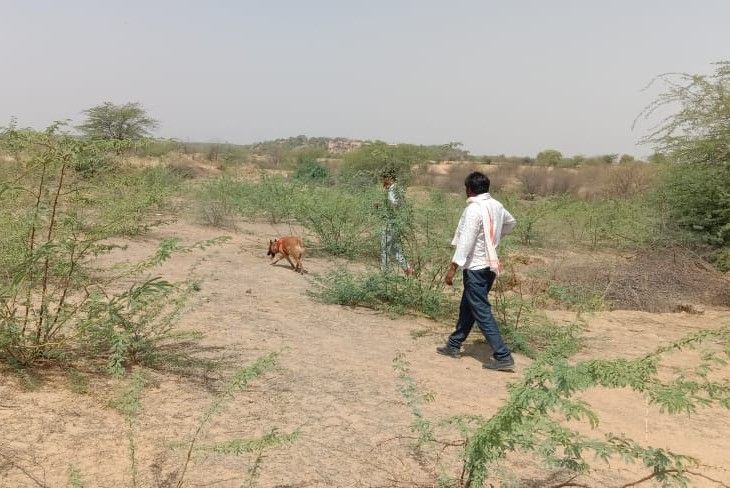 kota,rajasthan,Two sides of Mogya caste quarrel over fetching girl ...