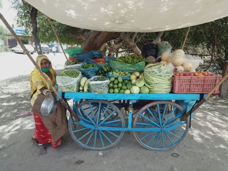 Vegetables, which are available for 20-30 rupees per kg in Mandi, are ...