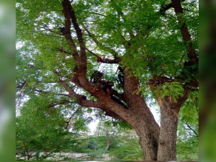 Young man climbed 15 feet height on Neem tree, put a noose in his neck ...