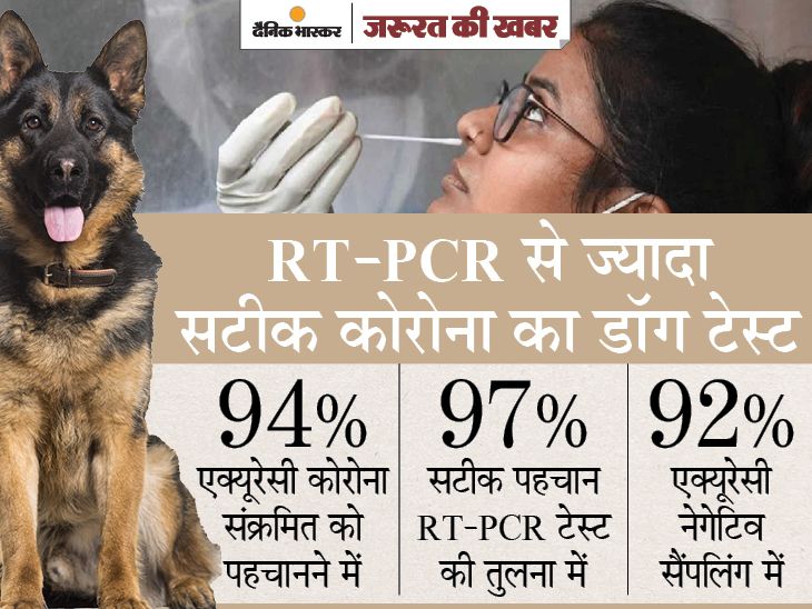 Coronavirus (COVID-19) RT-PCR Test Or Sniffer Dogs Detection; Which ...