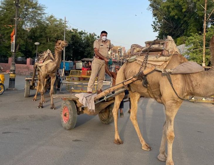 The police officers went out on patrol while driving the camel cart for ...