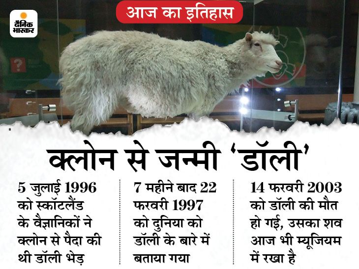 Aaj Ka Itihas; Today History 5th July | Dolly the Cloned Sheep Born on ...