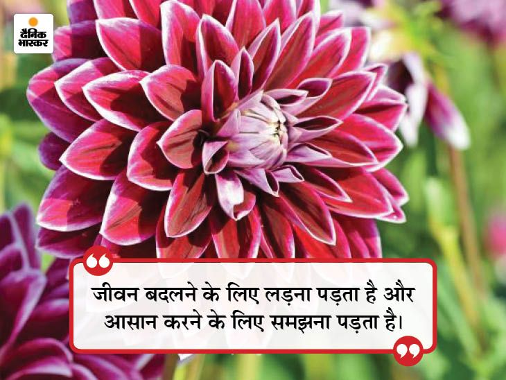 quotes for success in hindi, quotes for sharing, motivational tips in ...