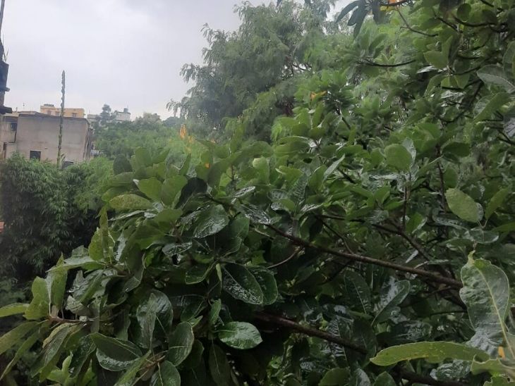 Latetst weather update of Jharkhand, Ranchi, Dhanbad, Deoghar, Dumka ...