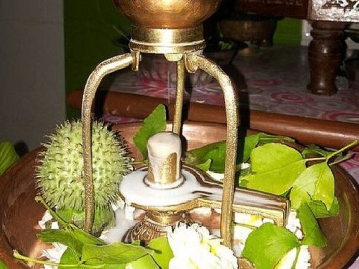 Meaning of Dhatura in Shiva Puja Offering poisonous Dhatura to ...