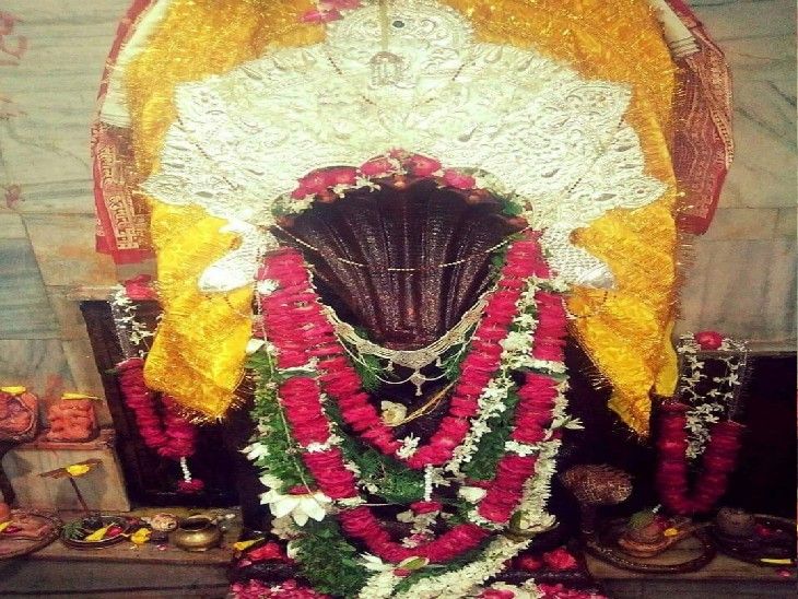 Competition to see Nagdevta on Nagpanchami in Prayagraj, For the ...